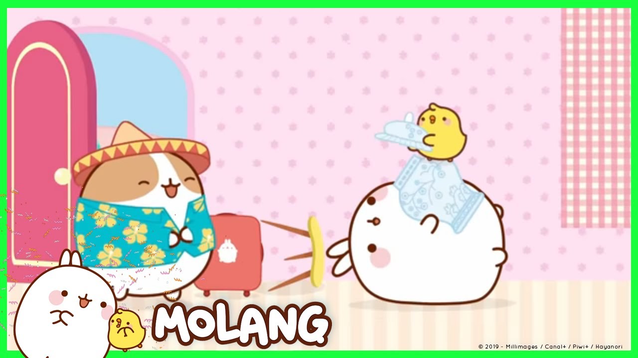 Molang - The Guest | Comedy Cartoon | More ⬇️ ⬇️ ⬇️ - YouTube