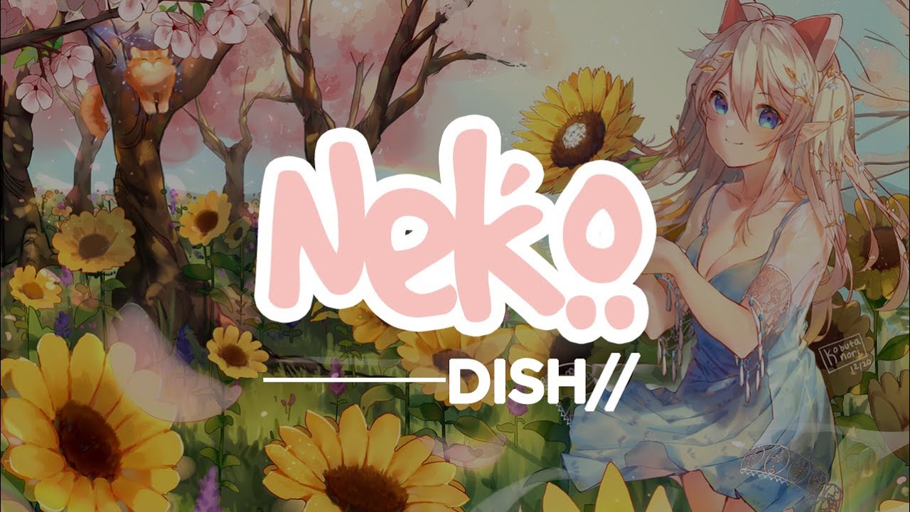Neko 猫 - DISH// | Lyrics Video - YouTube