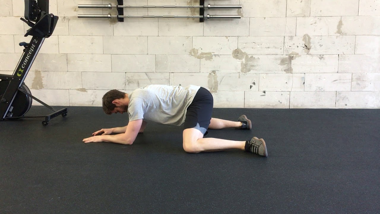 Quadruped Hip Internal Rotation - YouTube