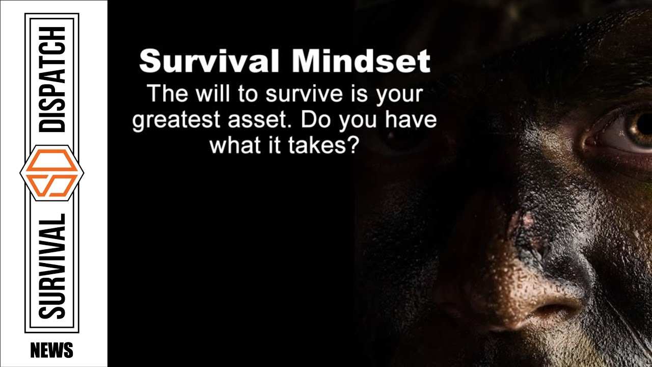 Master Your Mindset: How To Develop a "Never Quit" Survival Instinct ...