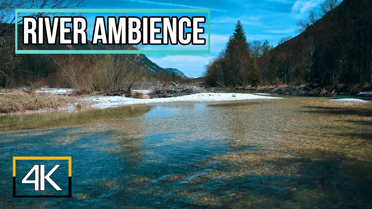 Calming River Ambience - Gentle Water Sound in the Afternoon - YouTube