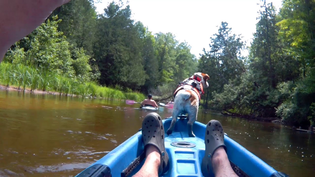 Kayaking Betsie River 2018 - YouTube