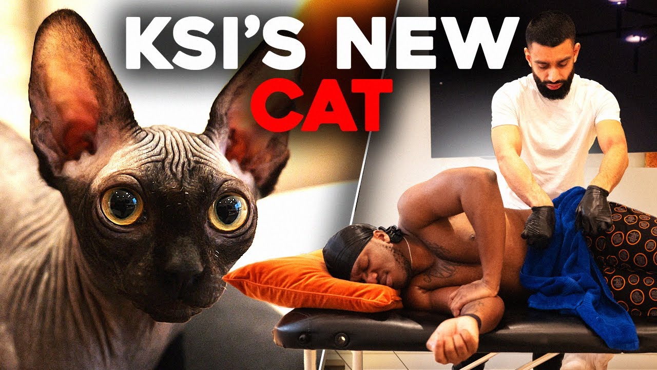 KSI's NEW Cat Starts a Fight During Physio Session! - YouTube