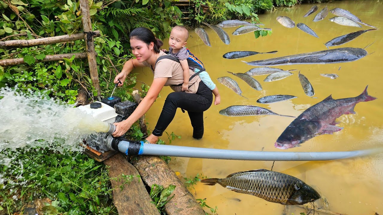 Catching Fish, Trapping Fish, Using high-power pumps, Catching many ...