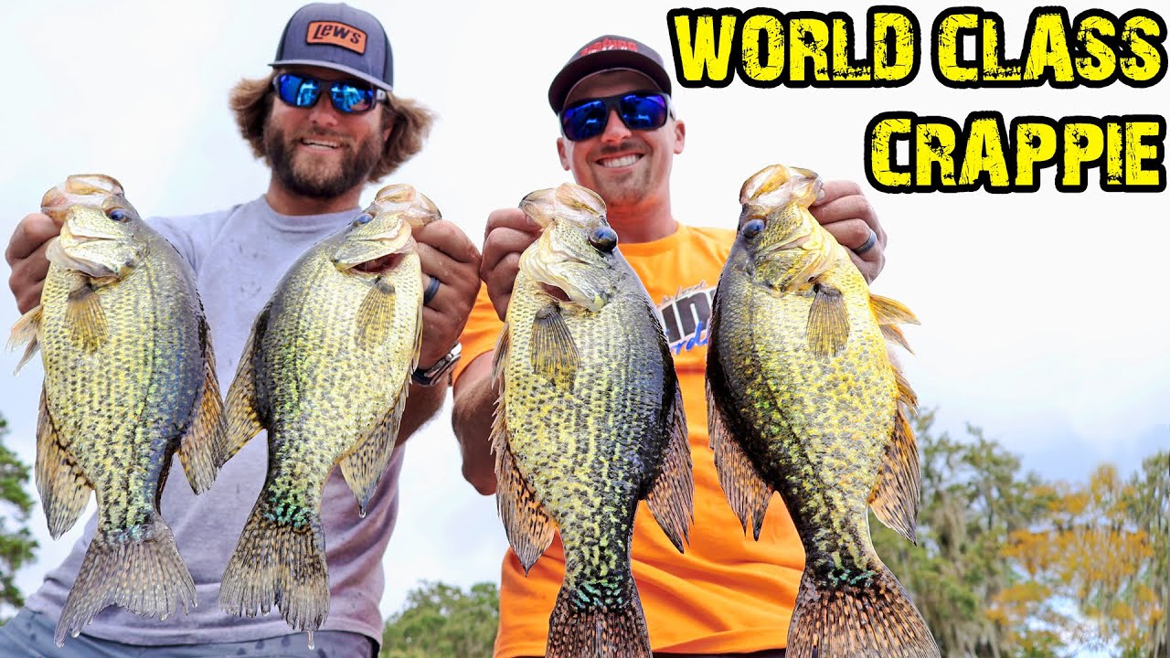 INSANE Crappie Fishing with LIVESCOPE! Watch It All Unfold! (MONSTERS w ...