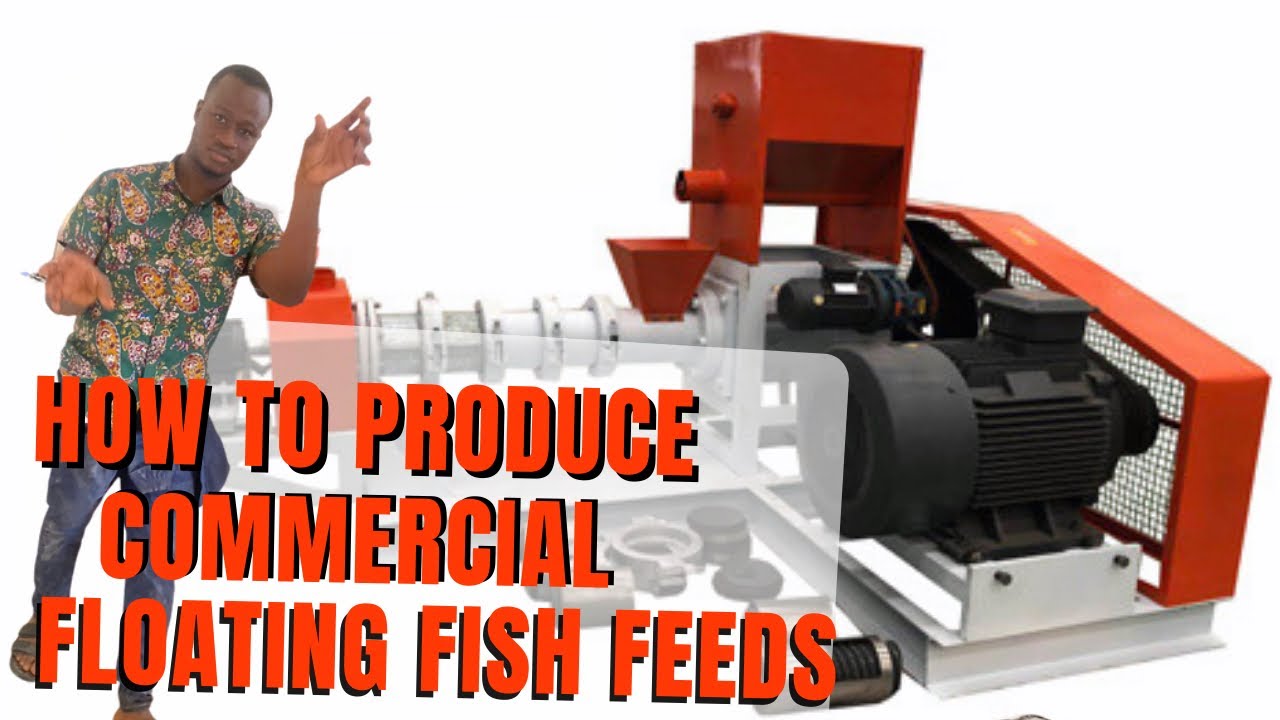 How To Produce COMMERCIAL FLOATING FISH FEED using LIMA Complete Fish ...