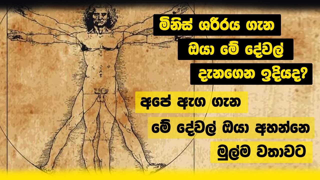 Did You Know Those Facts About Human Body Scientific Facts About Did You Know Those Facts About Human Body Scientific Facts About