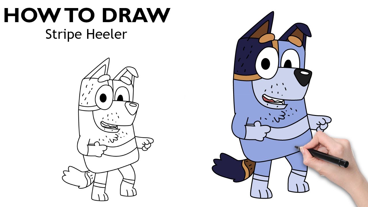 How to Draw Stripe Heeler from Bluey Step by Step - YouTube