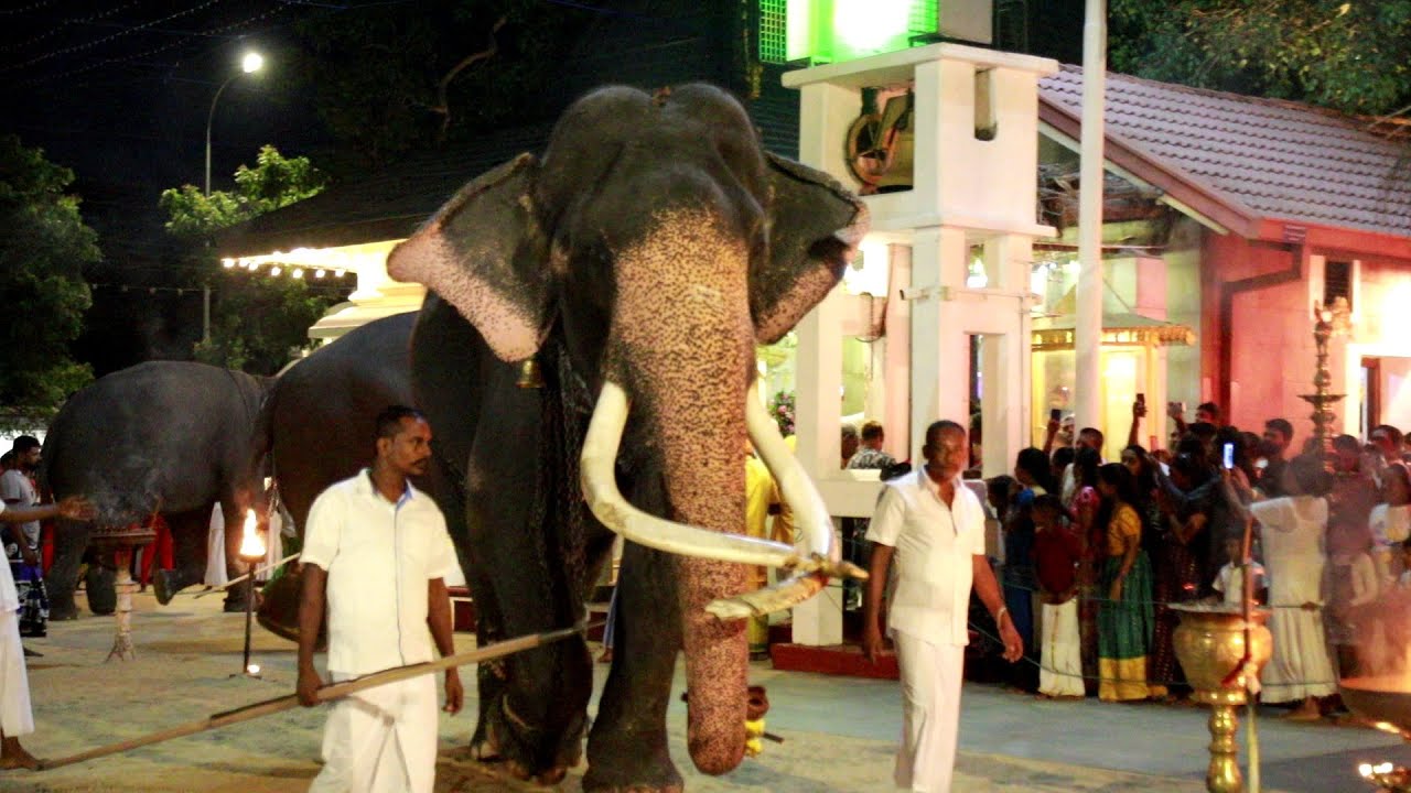 මෙවර ඇසළ මංගල්‍යයේ දෙවියන් වැඩමවීමට ප්‍රථමයෙන් දෙවියන් වැද ආශිර්වාද ...