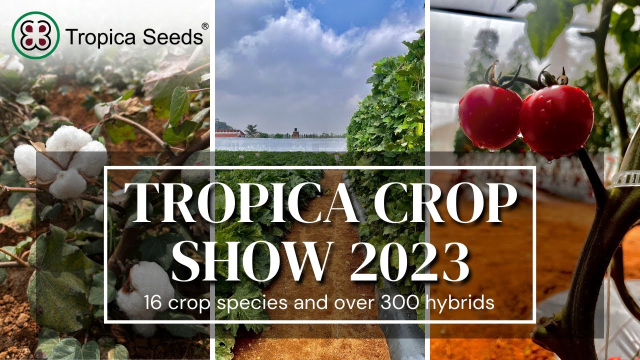 Tropica Crop Show 2023: Discover 16 Crop Species | 300+ Hybrids ...