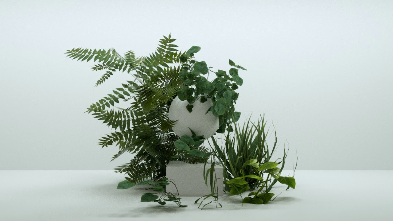 Photogrammetry - Plant Showcase - YouTube