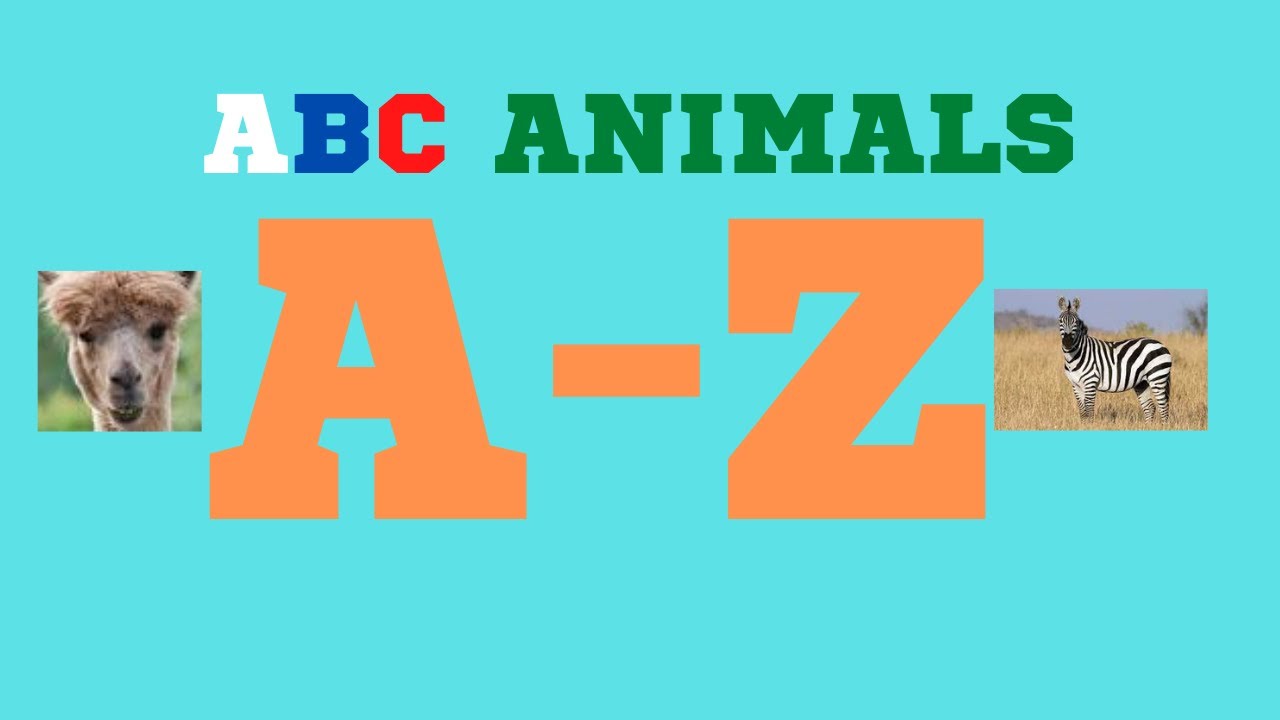 ALPHABET ANIMALS ABC ANIMALS - YouTube
