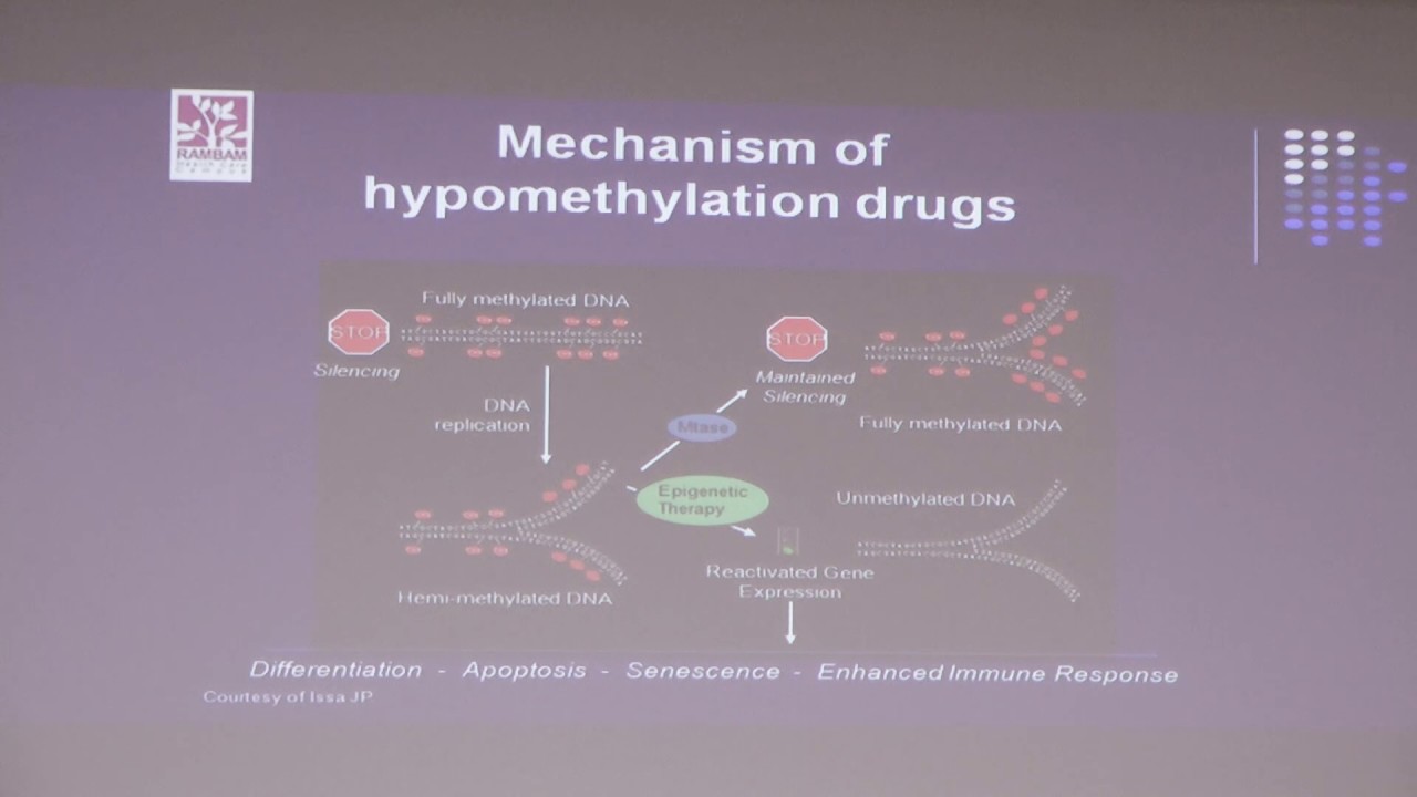 Dr. Yishai Ofran ד"ר ישי עופרן, המרכז הרפואי רמב"ם, חיפה - YouTube