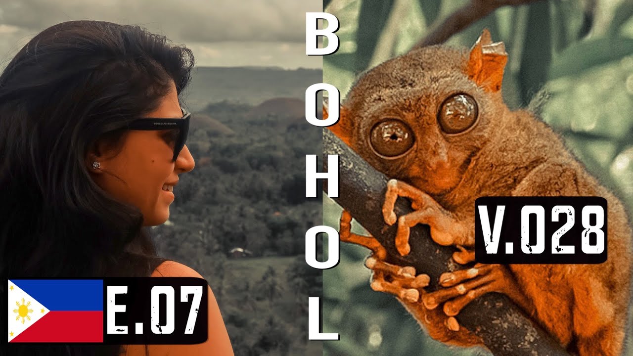 Philippine Tarsiers - The Most Magical Creatures On Earth! (Bohol, the ...