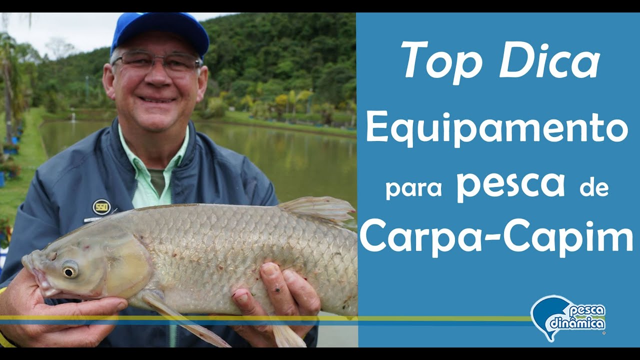 Top Dica - Aprenda a escolher o equipamento para pesca de Carpa-Capim ...