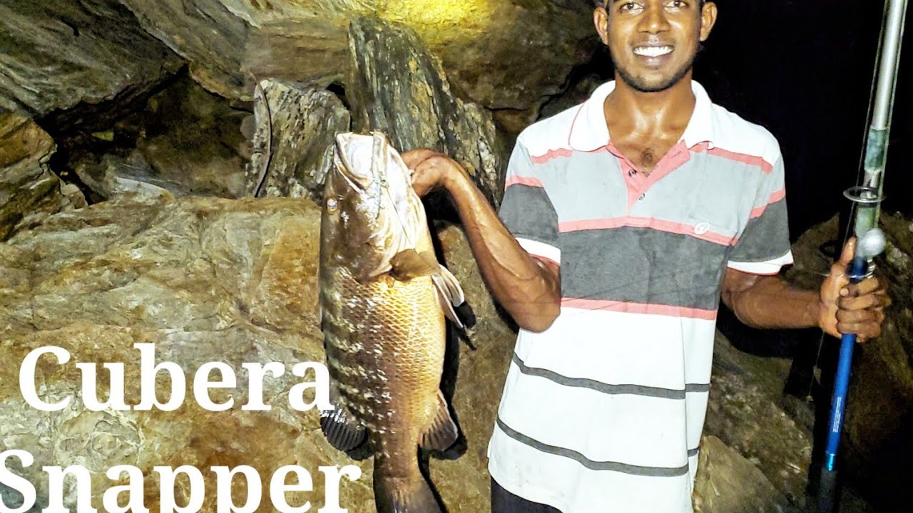 Won't believe What I Caught ! Trinidad Macqueripe Fishing - 🎣 Cubera Snapper On The Rocks - YouTube
