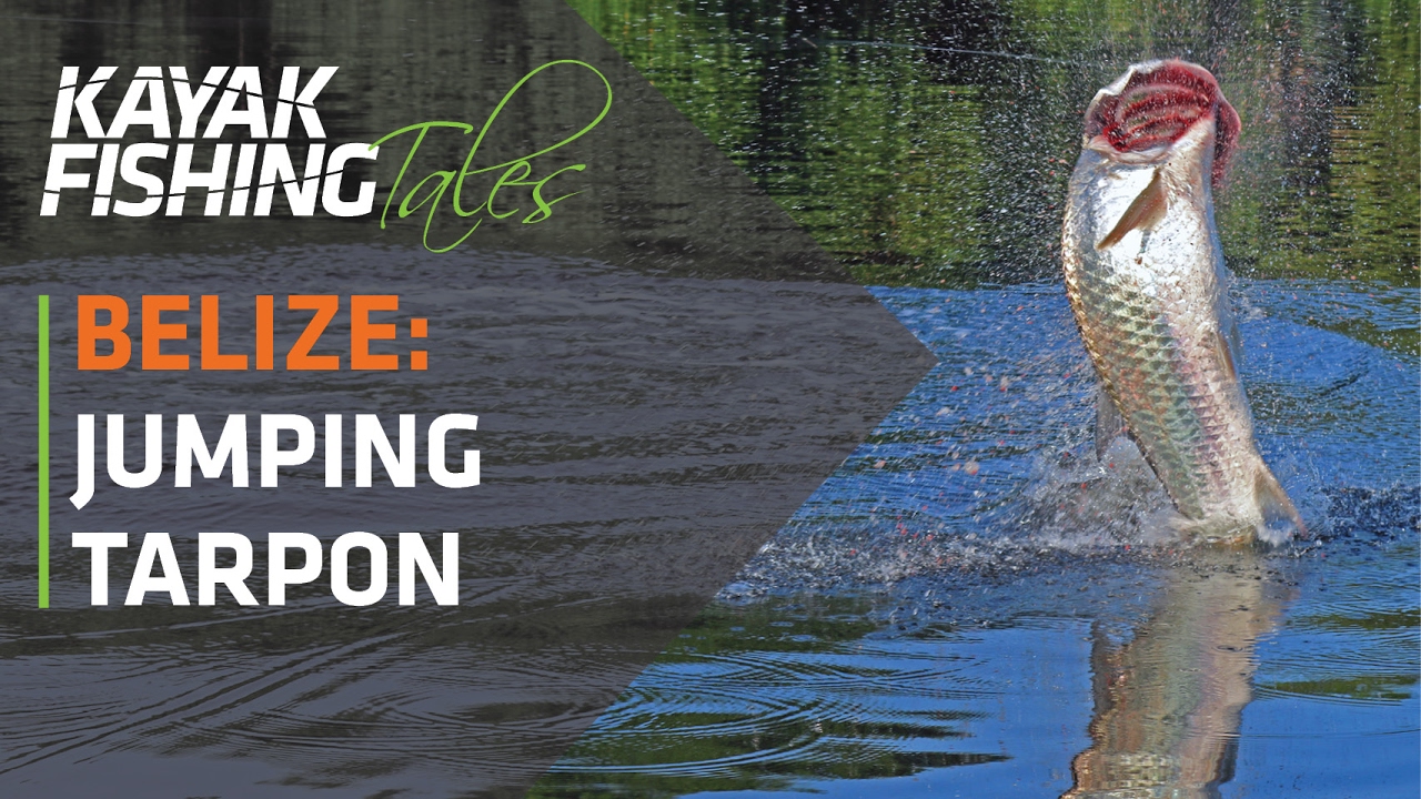 Kayak Fish for Tarpon in Belize | Jumping Tarpon - YouTube