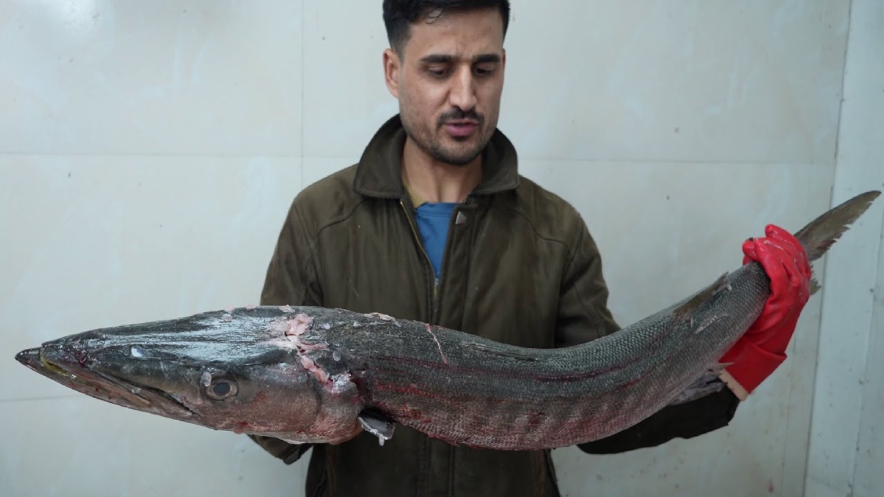USE This TRICK! to FILLET Your Barracuda Fish (STEP BY STEP) - YouTube