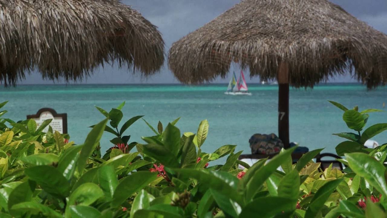 VENEZUELA - ISOLA di ARUBA - YouTube