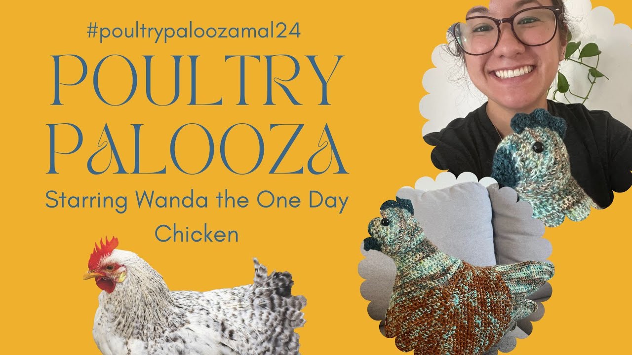 Poultry Palooza Starring Wanda the One Day Chicken! - YouTube