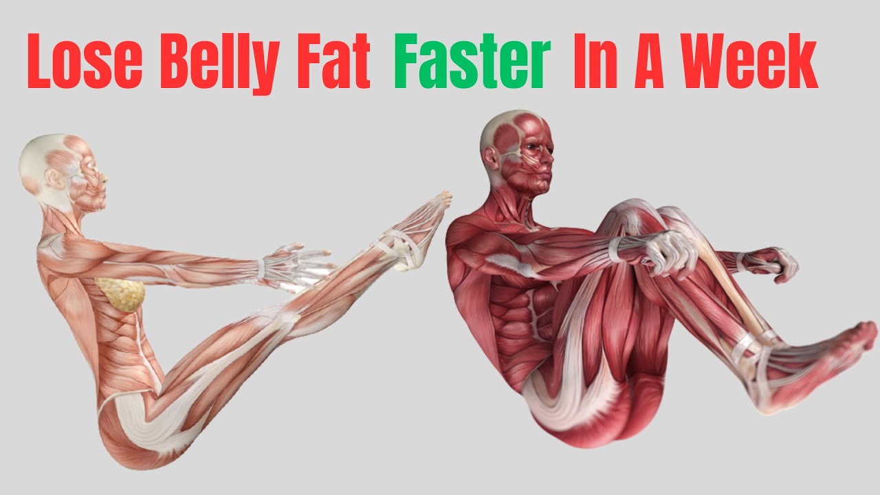 6 Easy Exercises To Lose Belly Fat At Home For Beginners - YouTube