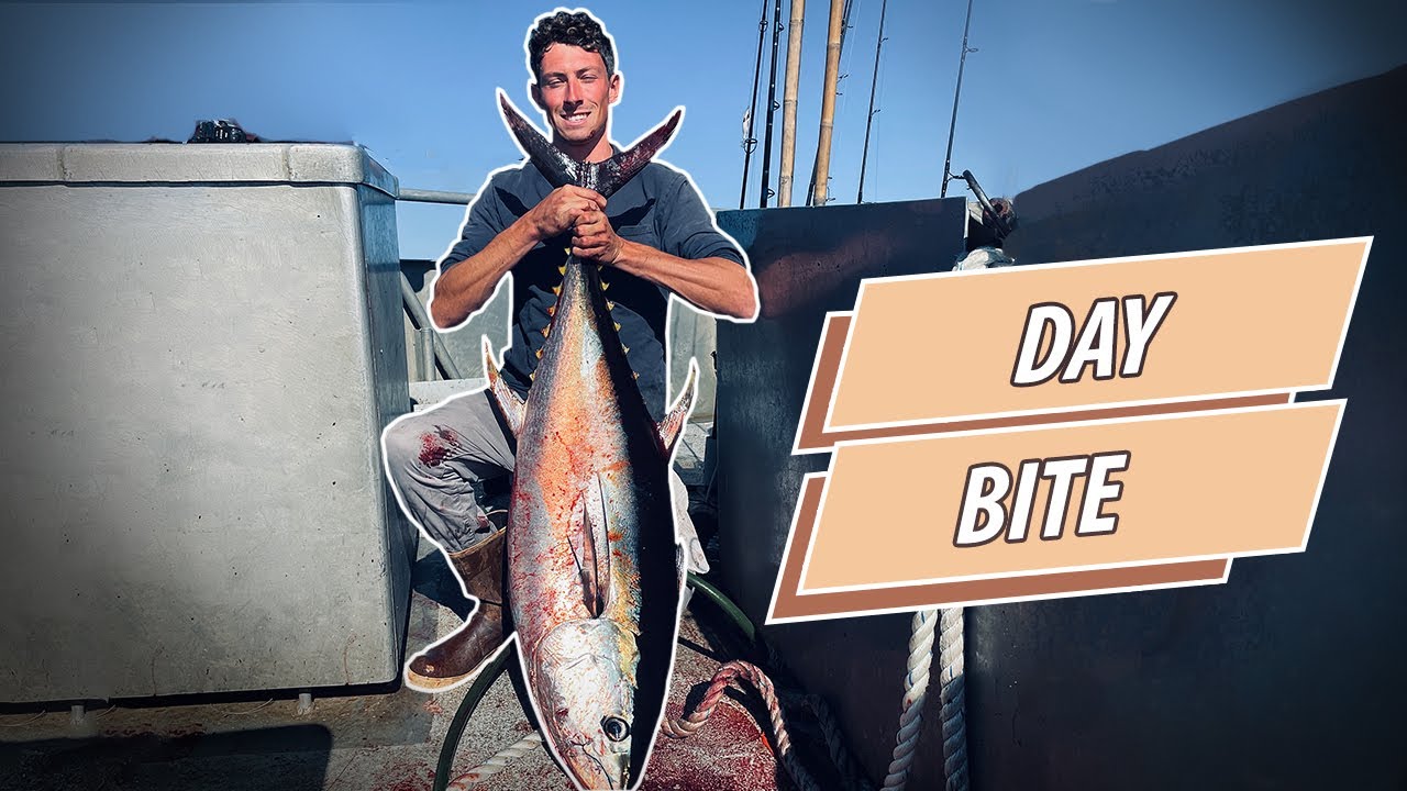 Day Bite - 11 Tuna Caught on Big Jamaica! - YouTube