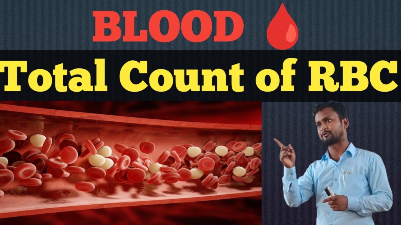 Total Count of RBC, kaise nikale #teacher #biology #blood #rbc #science ...