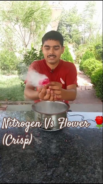 Nitrogen Vs Flower - YouTube