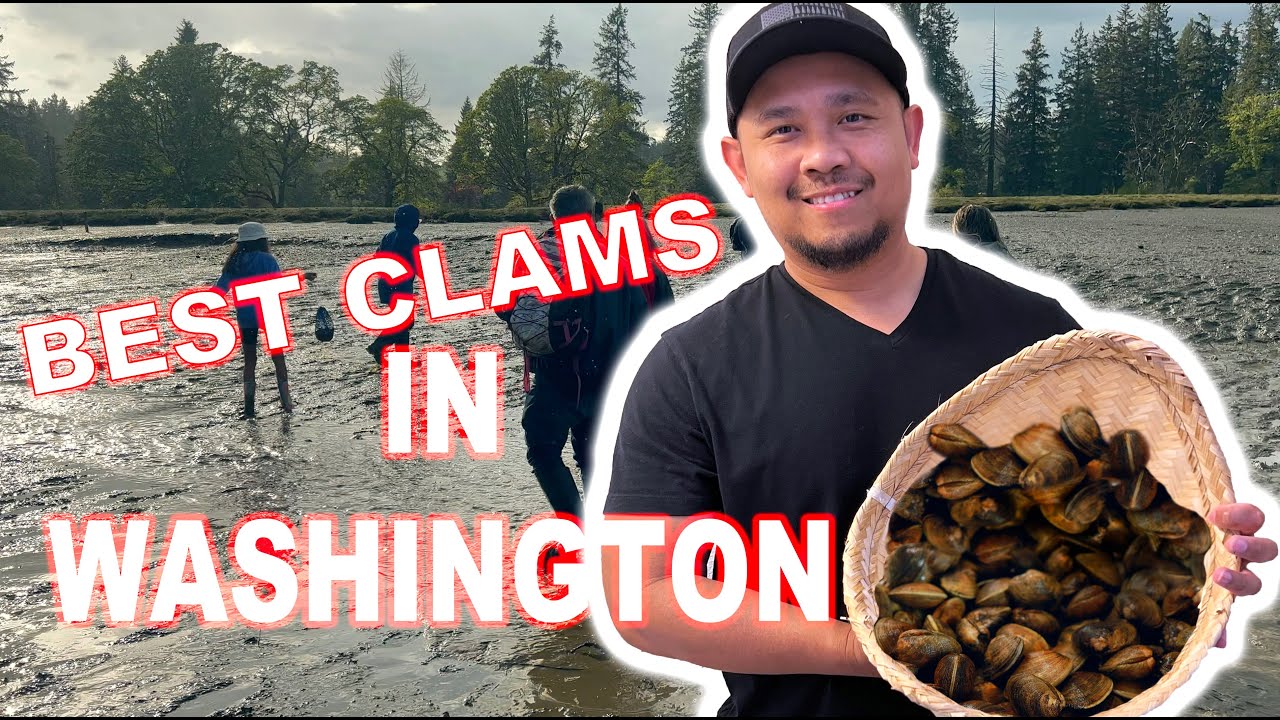 Clam Digging at Shelton, Washington - YouTube