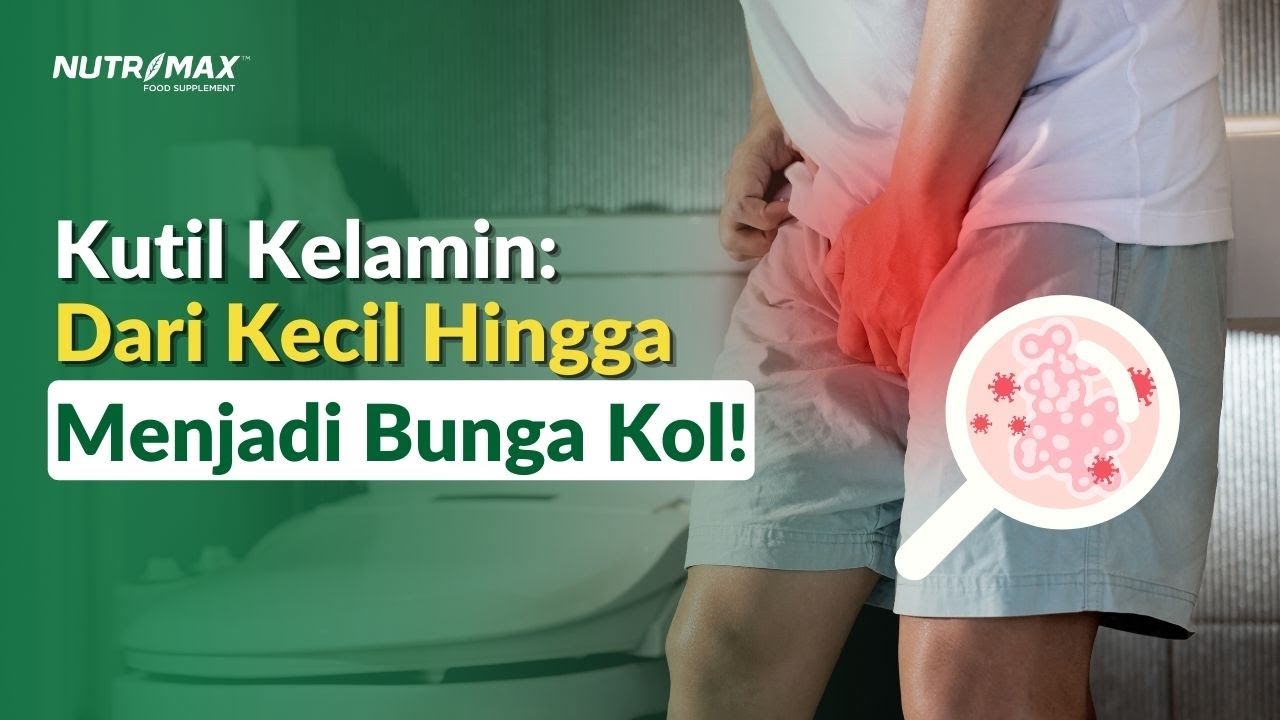 Kutil Kelamin: Dari Kecil Hingga Menjadi Bunga Kol! - YouTube