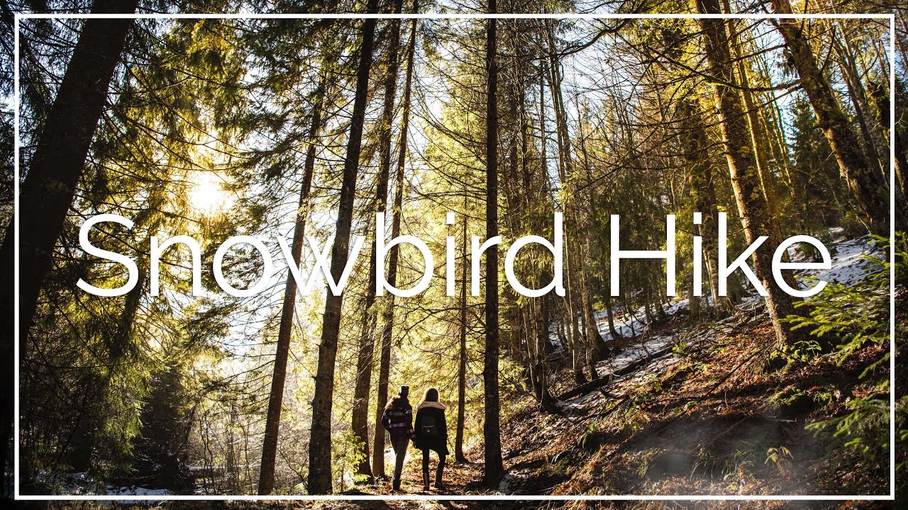Snowbird Hike - YouTube