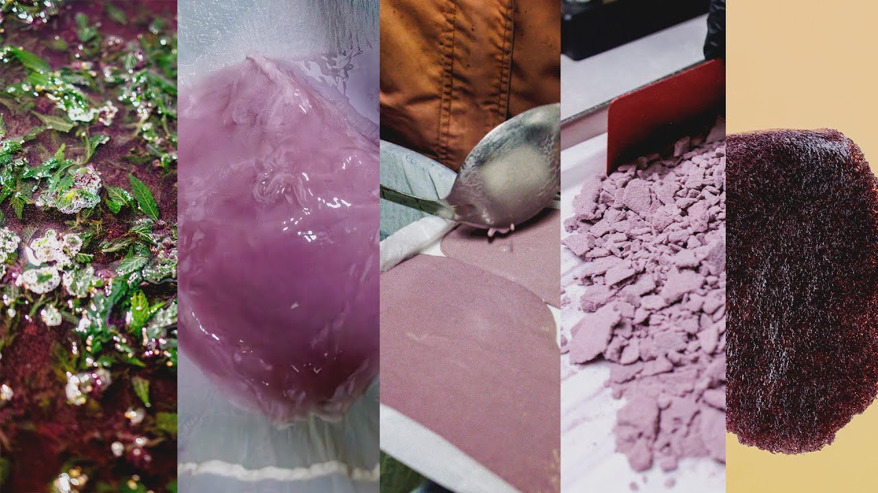 { Purple Sand } Full Melt Hash Production by Cookies - YouTube