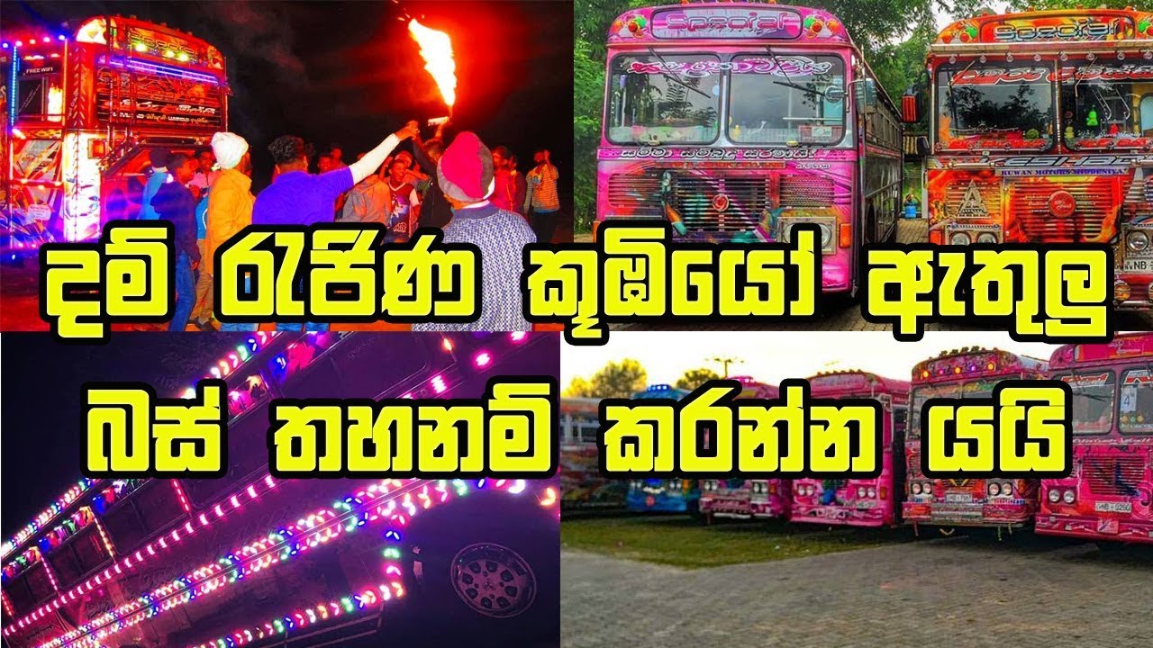 Damrajina Bus-දම් රැජිණ කූඹියෝ ඇතුලු බස් තහනම් කරන්න යයි - YouTube