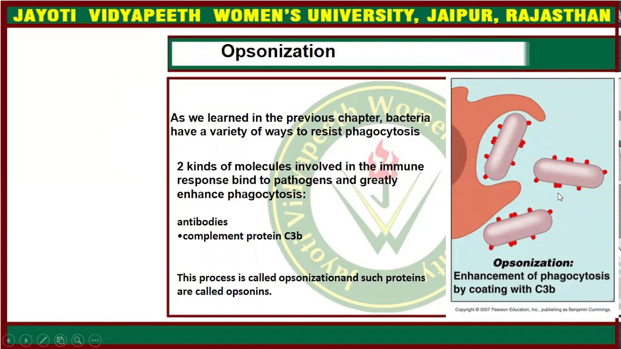 Innate Immunity II SECOND LINE OF DEFENSE - YouTube