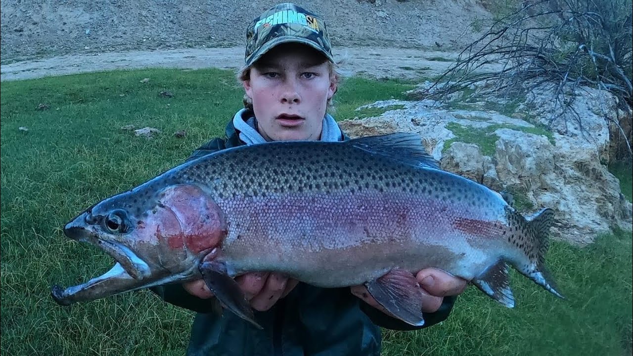 Ancient Rainbow Trout Caught In A Hidden Valley - Australia - YouTube