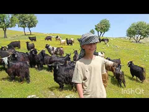 Silvan kızlal köyü