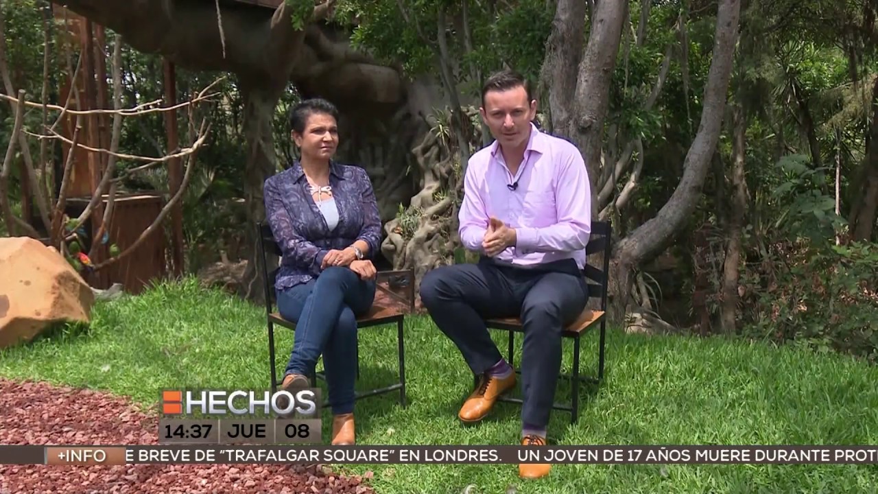 Entrevista | Amy Camacho - YouTube