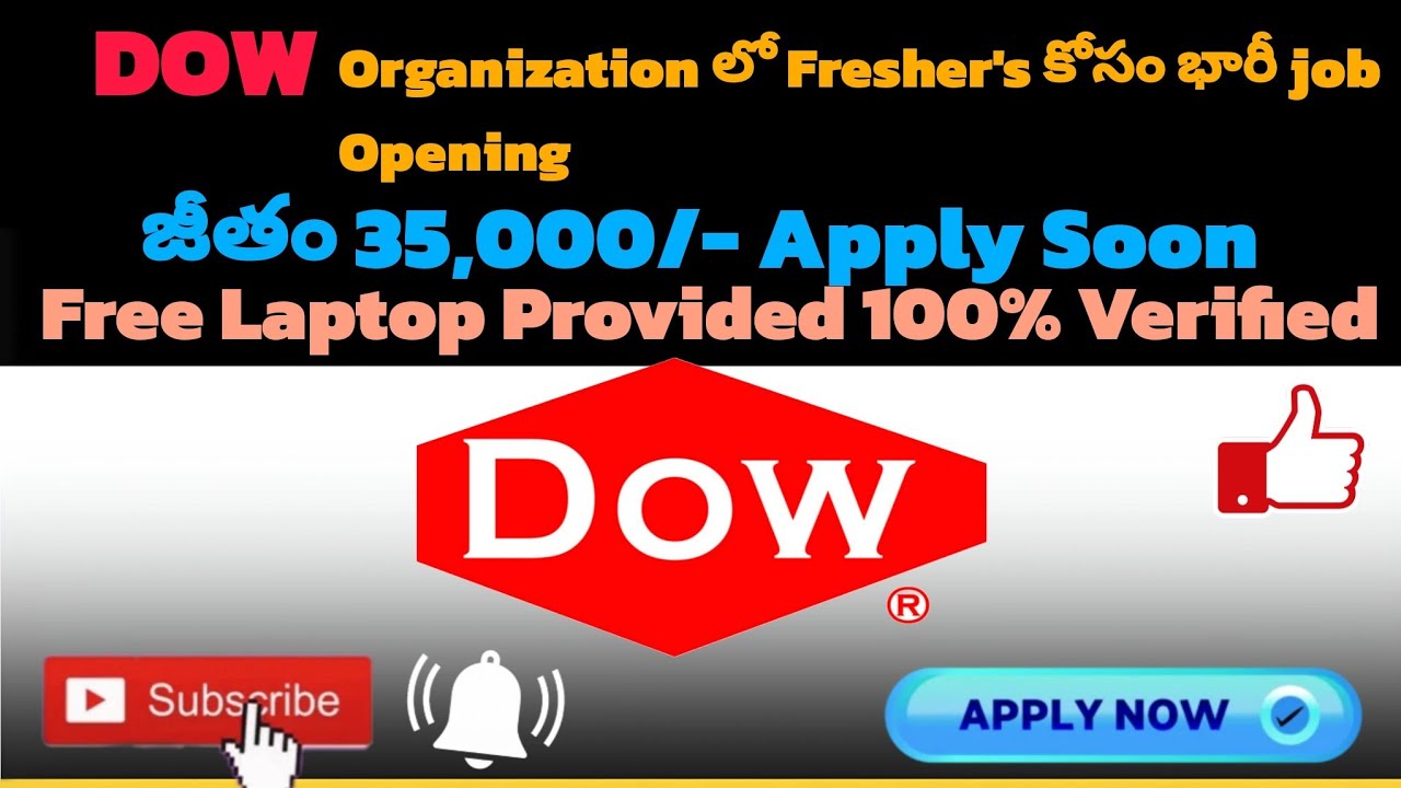 #DOW Organization లో Freshers కోసం Junior Software Engineer Job Opening ...