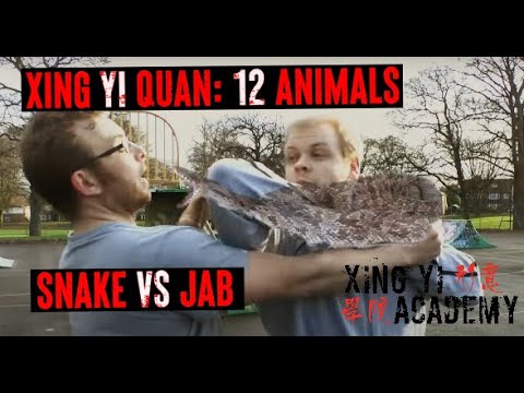 Xing Yi Quan: 12 Animals Snake vs Jab [Xingyiquan / Hsing I Chuan ...