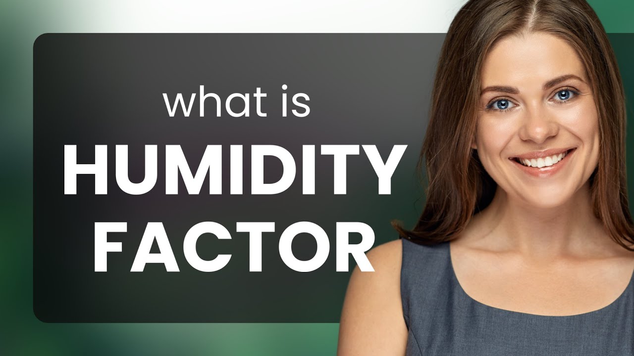 Understanding the "Humidity Factor": An English Language Lesson - YouTube