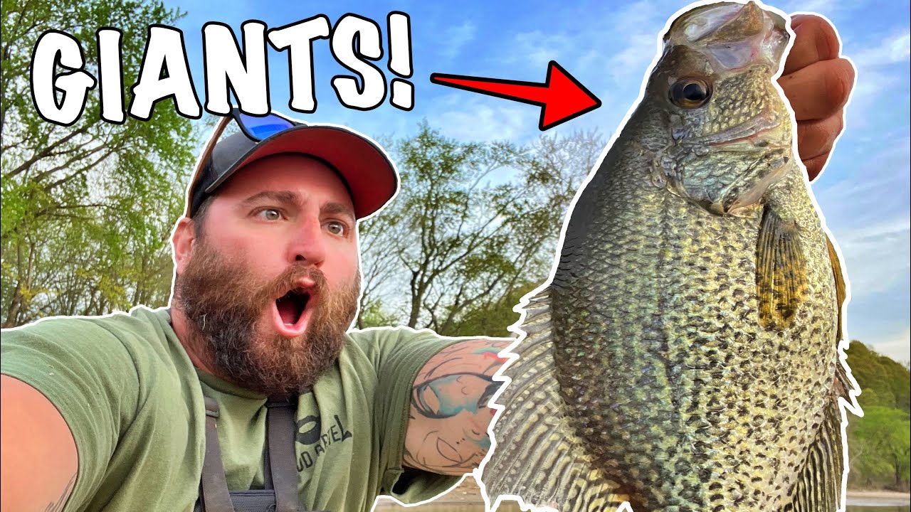 OHIO RIVER CRAPPIE FISHING - CAST CRAY Leechers only catch Giants ...