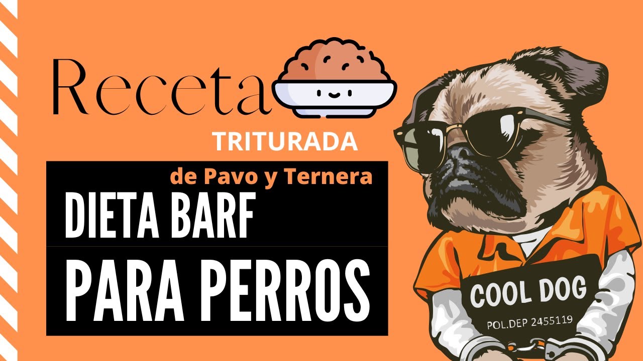 Dieta BARF: #8 Receta BARF para perros 🥩 [Pollo y Ternera] 🐔 🐮 ¿Cómo ...