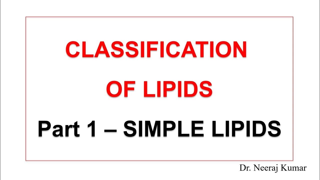 Simple Lipids | Classification of Lipids part 1 | Triglycerides | Fats, Oils and Waxes - YouTube