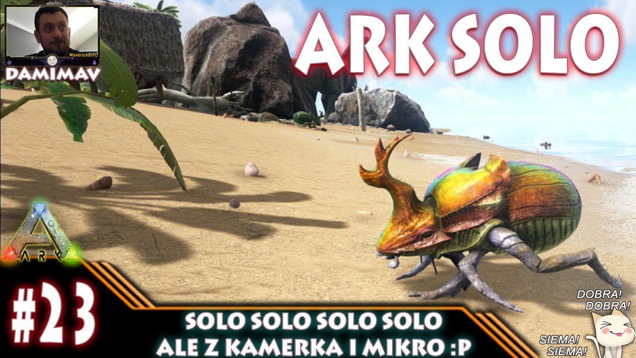 ARK SOLO SOLO SOLO SOLO #23 #arksurvivalevolved #ark #survival - YouTube