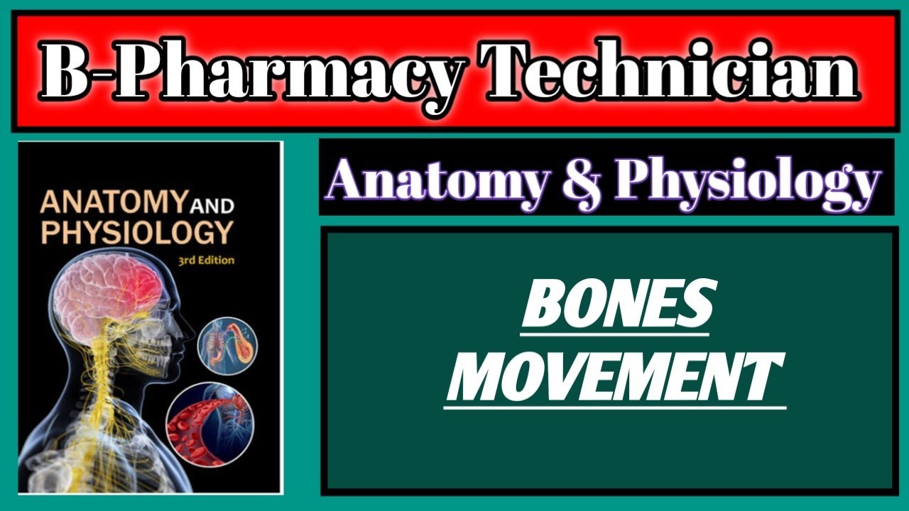 BONES MOVEMENT TERMINOLOGY @Masterinbiology - YouTube