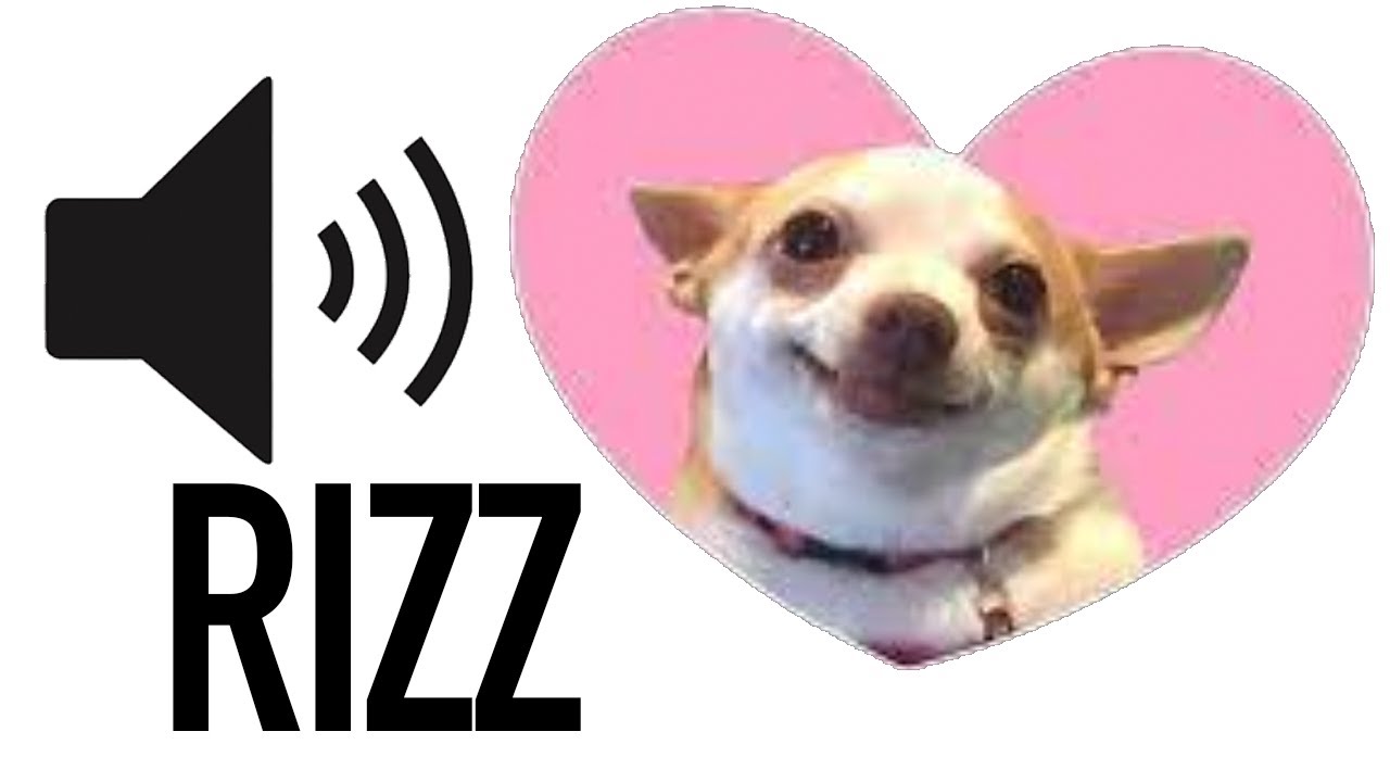 RIZZ Sound Effect ( HD ) CopyrightFree - YouTube