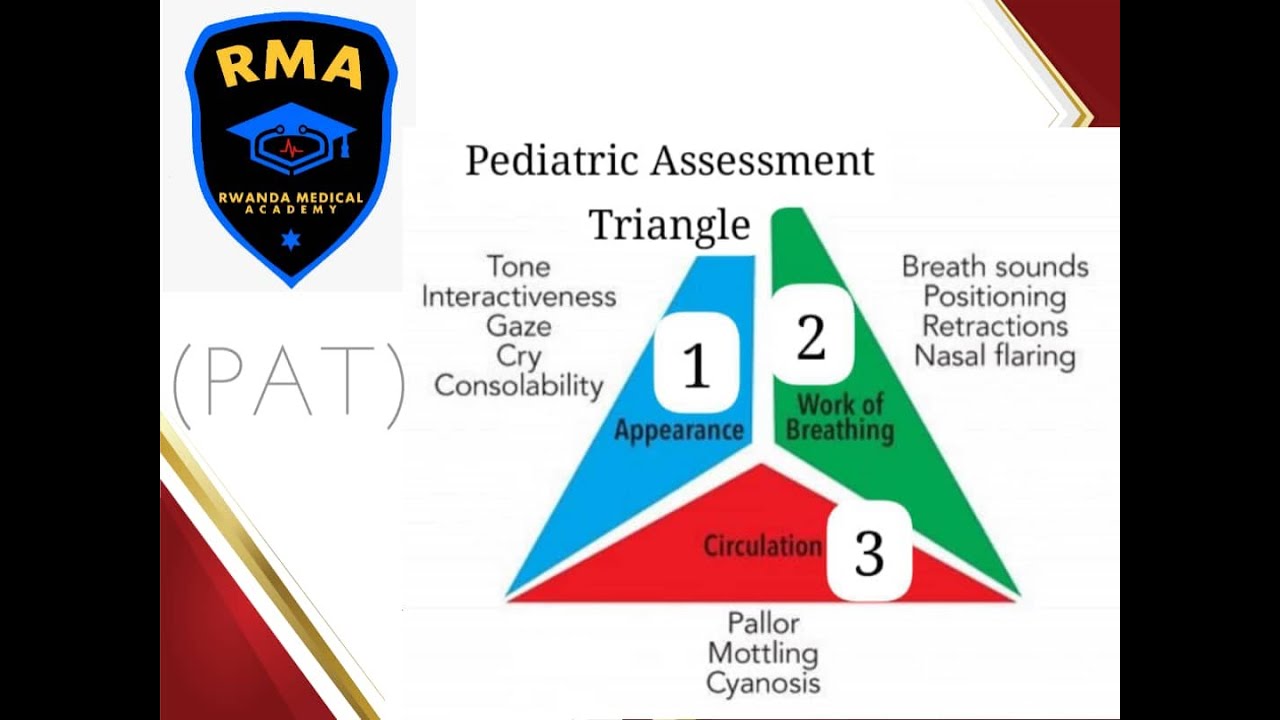 Mastering The Pediatric Assessment Triangle PAT With Fraterne Z U mastering-the-pediatric-assessment-triangle-pat-with-fraterne-z-u