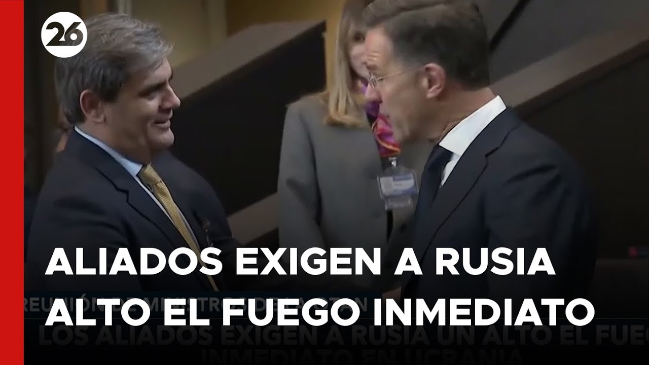 Los ALIADOS exigen a Rusia un ALTO EL FUEGO INMEDIATO en Ucrania - YouTube
