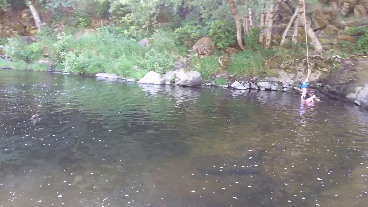 Salmon and human fry. Smith River Falls, Oregon. - YouTube