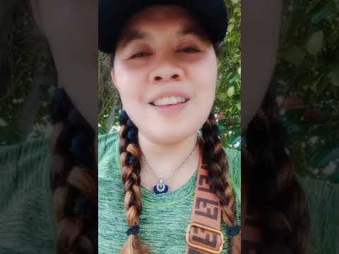 Tante Rahma Libur Kerja Jalan-Jalan Ke Ocean Park Hongkong #oceanparkhongkong #hongkong